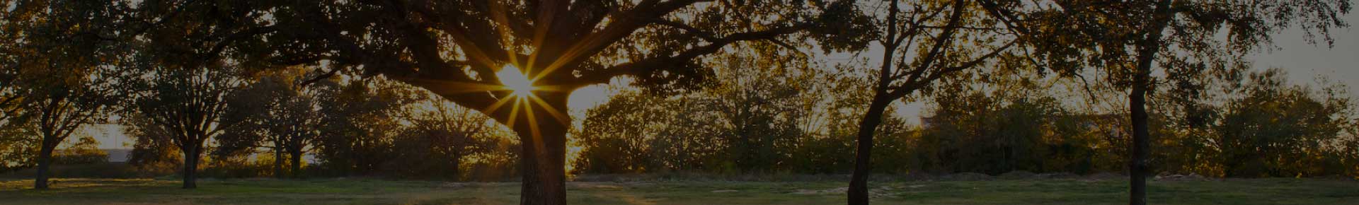 History - Scenic Texas